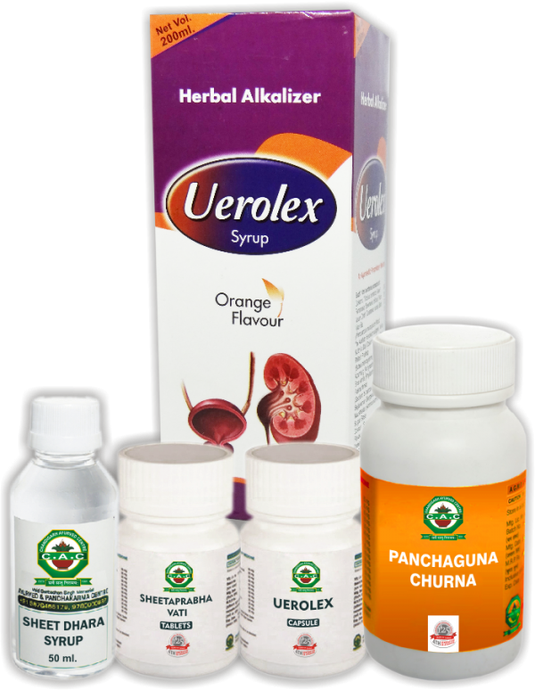 GALL STONE REMOVE KIT | Chandigarh Ayurved & Panchakarma Centre
