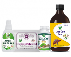 DENGUE-FEVER-KIT | Chandigarh Ayurved & Panchakarma Centre