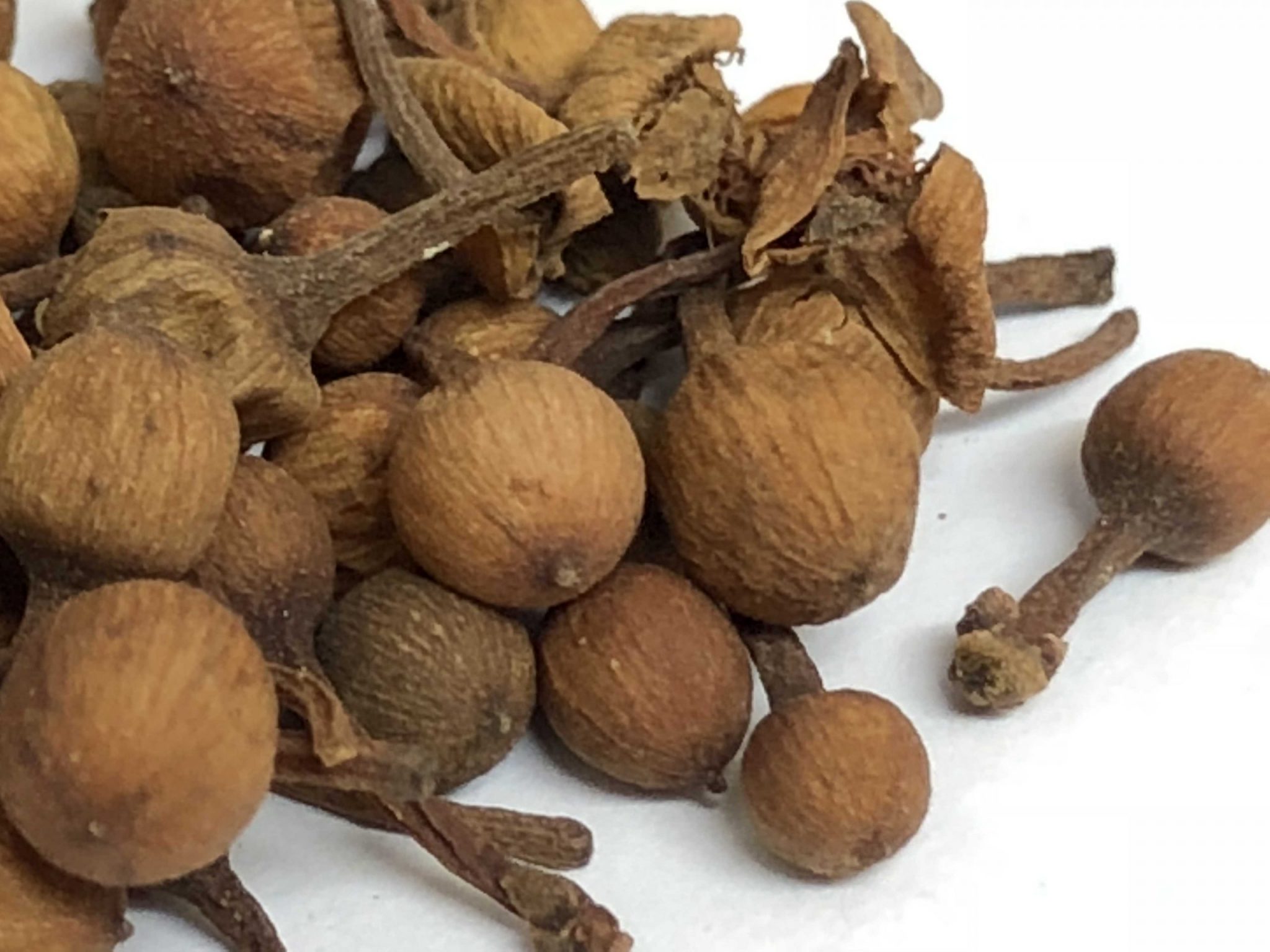 Nagkesar | Chandigarh Ayurved & Panchakarma Centre