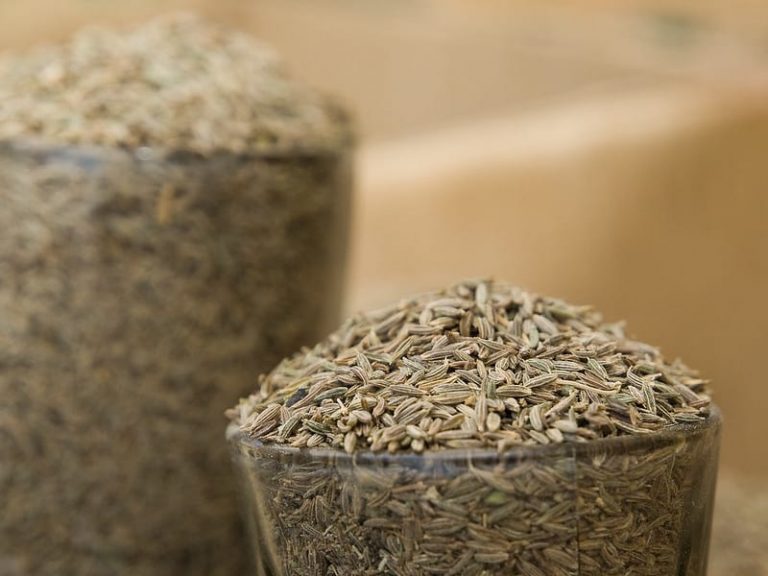 Jeeraka | Chandigarh Ayurved & Panchakarma Centre