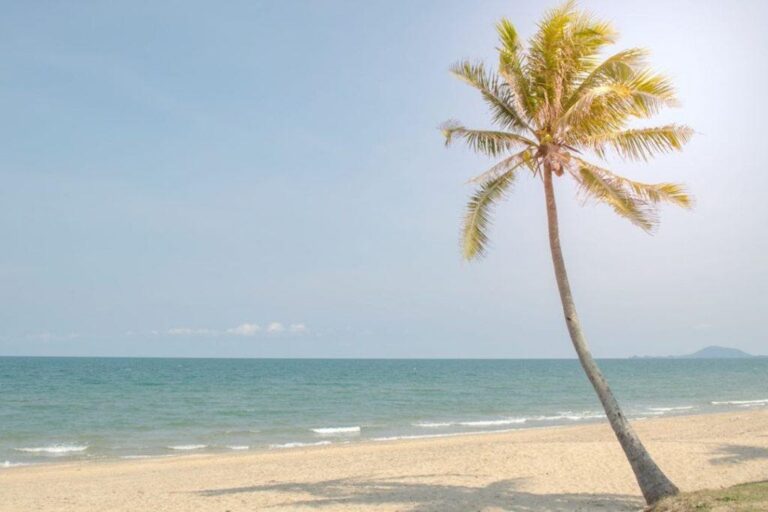 GREESHMA RITUCHARYA | Chandigarh Ayurved & Panchakarma Centre